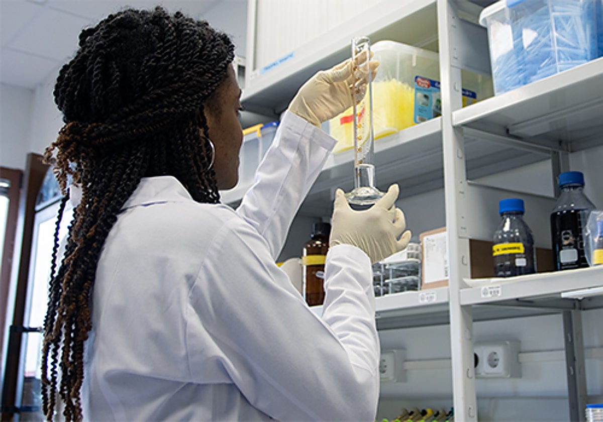 La Universidad mejora el sistema informático de sus laboratorios para tener más eficiencia en la ...